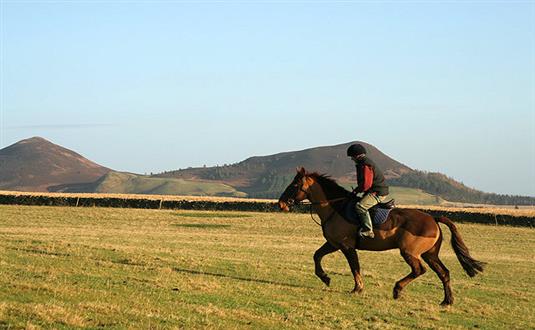 Horse riding in kufri tour with Antilog Vacations at Kufri Himachal