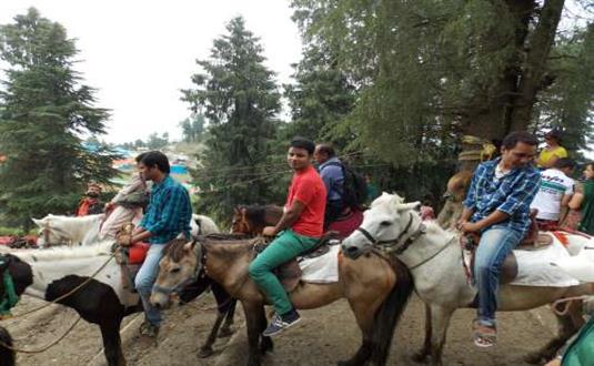Horse riding in kufri tour with Antilog Vacations at Kufri Himachal